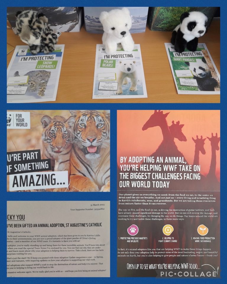 St Augustine’s Raise Money for WWF – Education Service